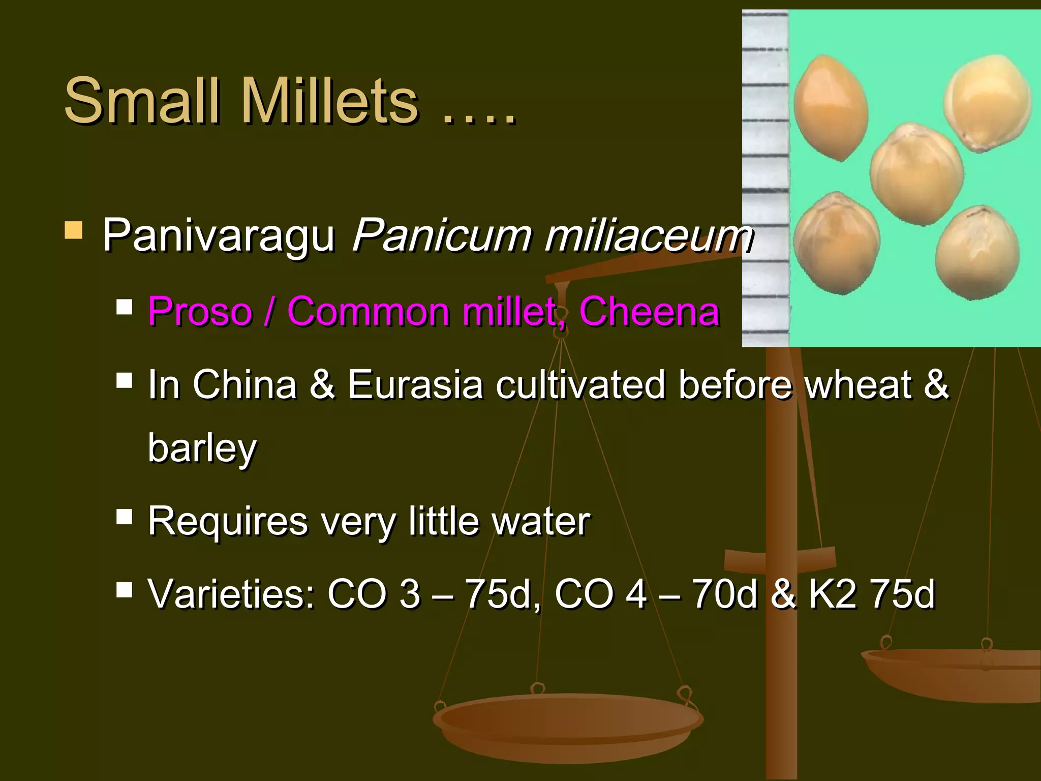 Minor millets | PPT