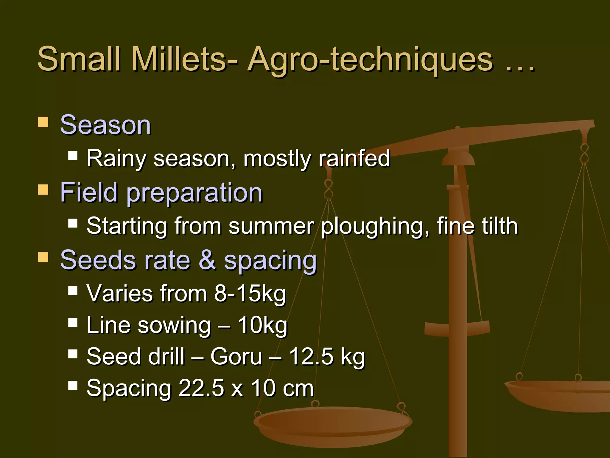 Minor millets | PPT