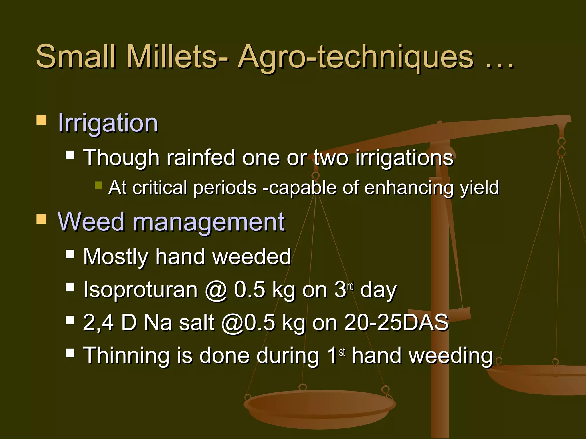 Minor millets | PPT