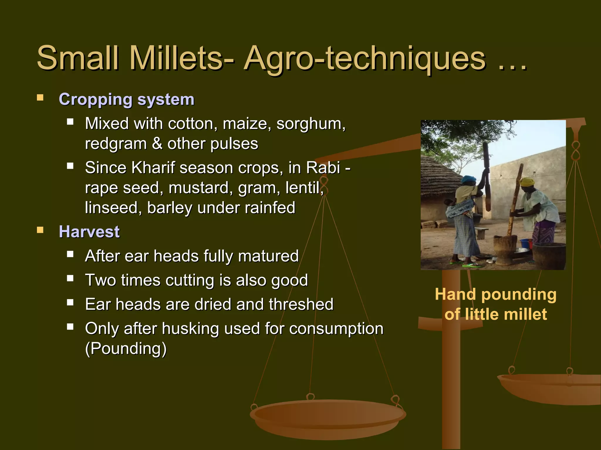 Minor millets | PPT