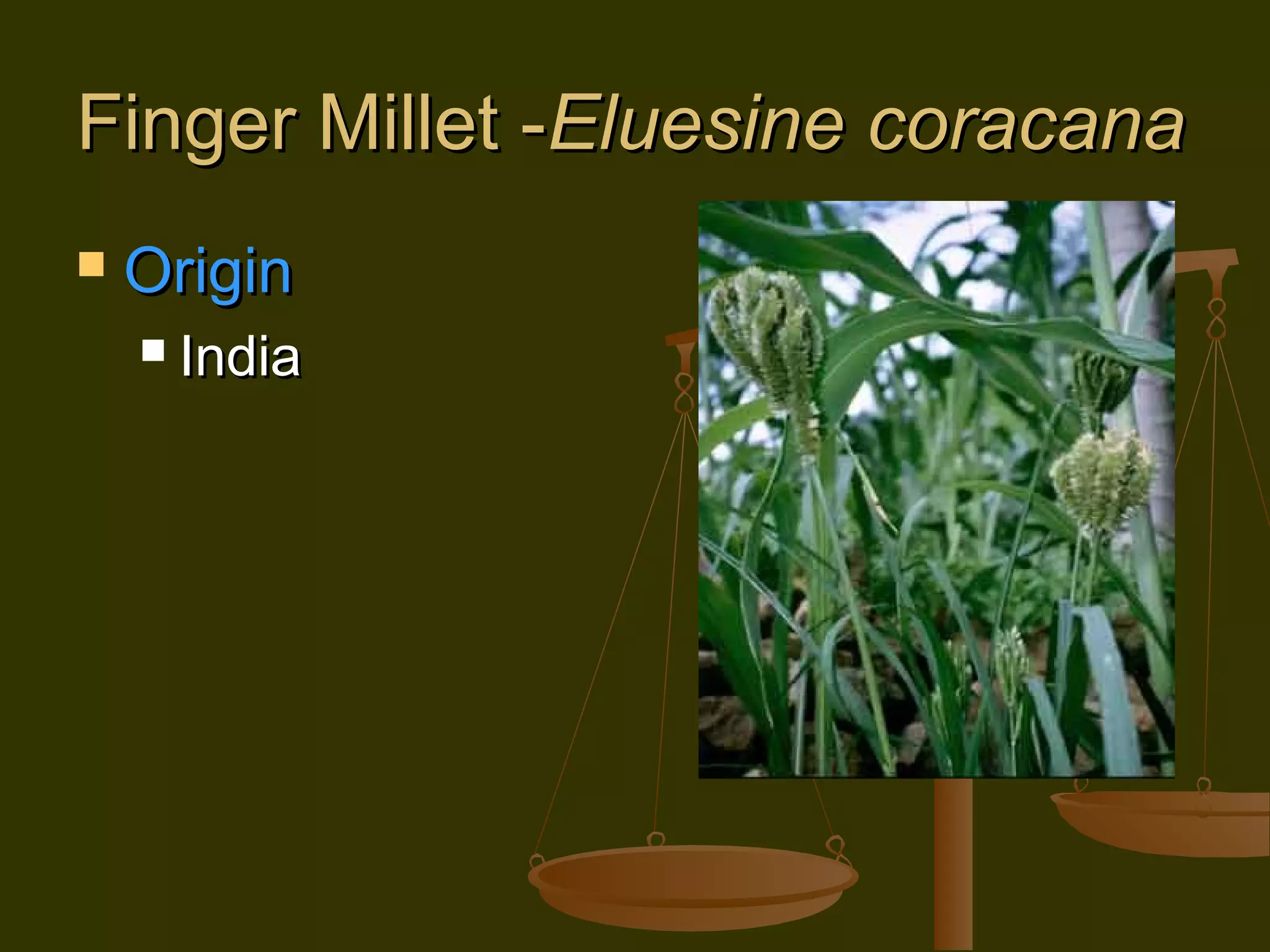 Minor millets | PPT