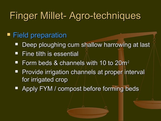 Minor millets | PPT