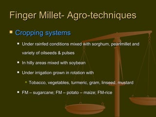 Minor millets | PPT
