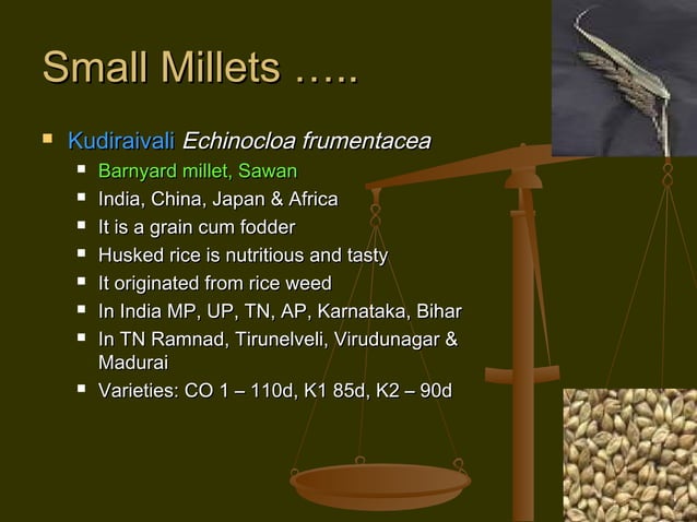 Minor millets | PPT