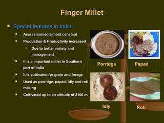 Minor millets | PPT