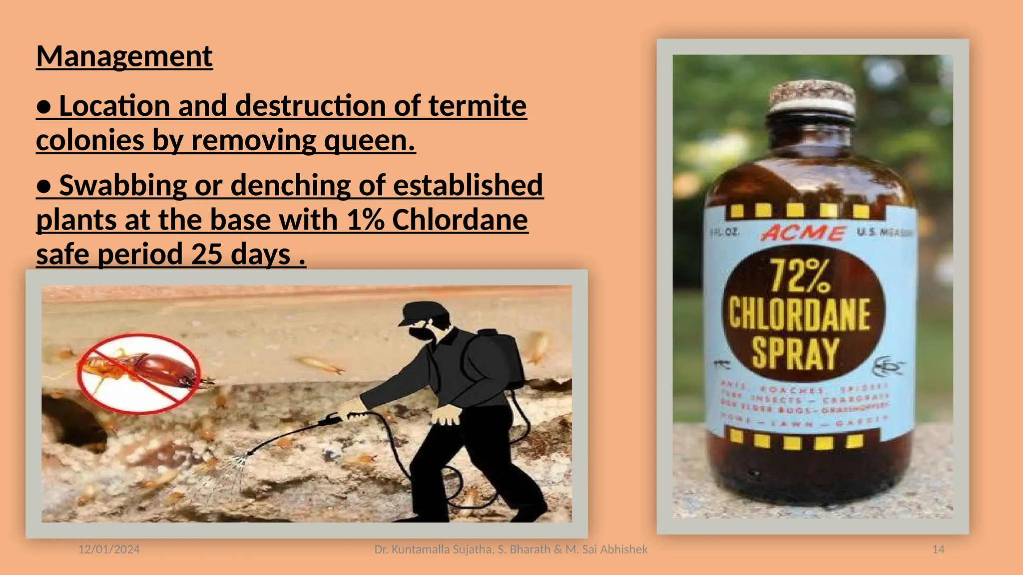 Minor pests of mulberry plant & their management.pptx