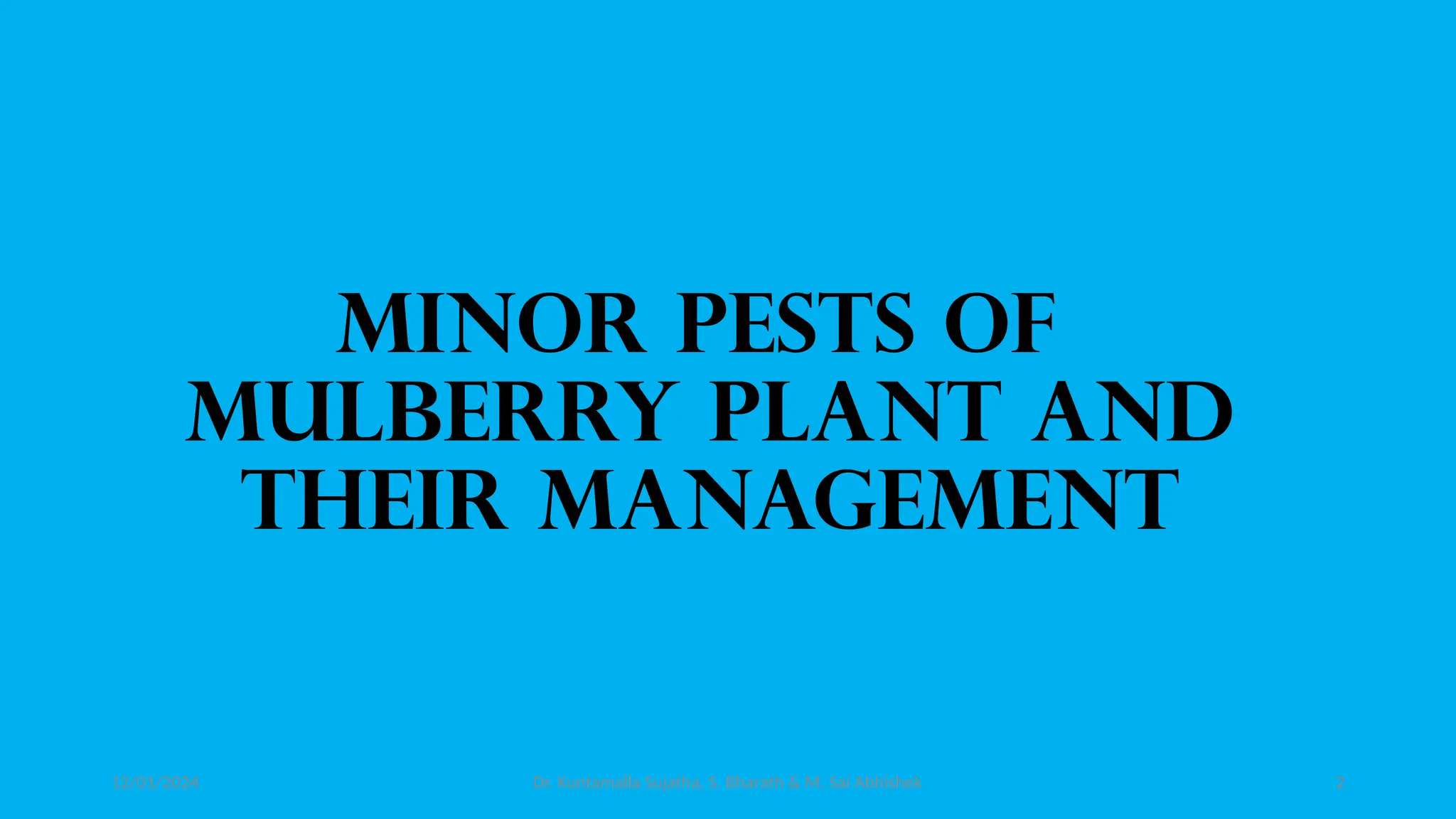Minor pests of mulberry plant & their management.pptx