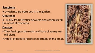 Minor pests of mulberry plant & their management.pptx