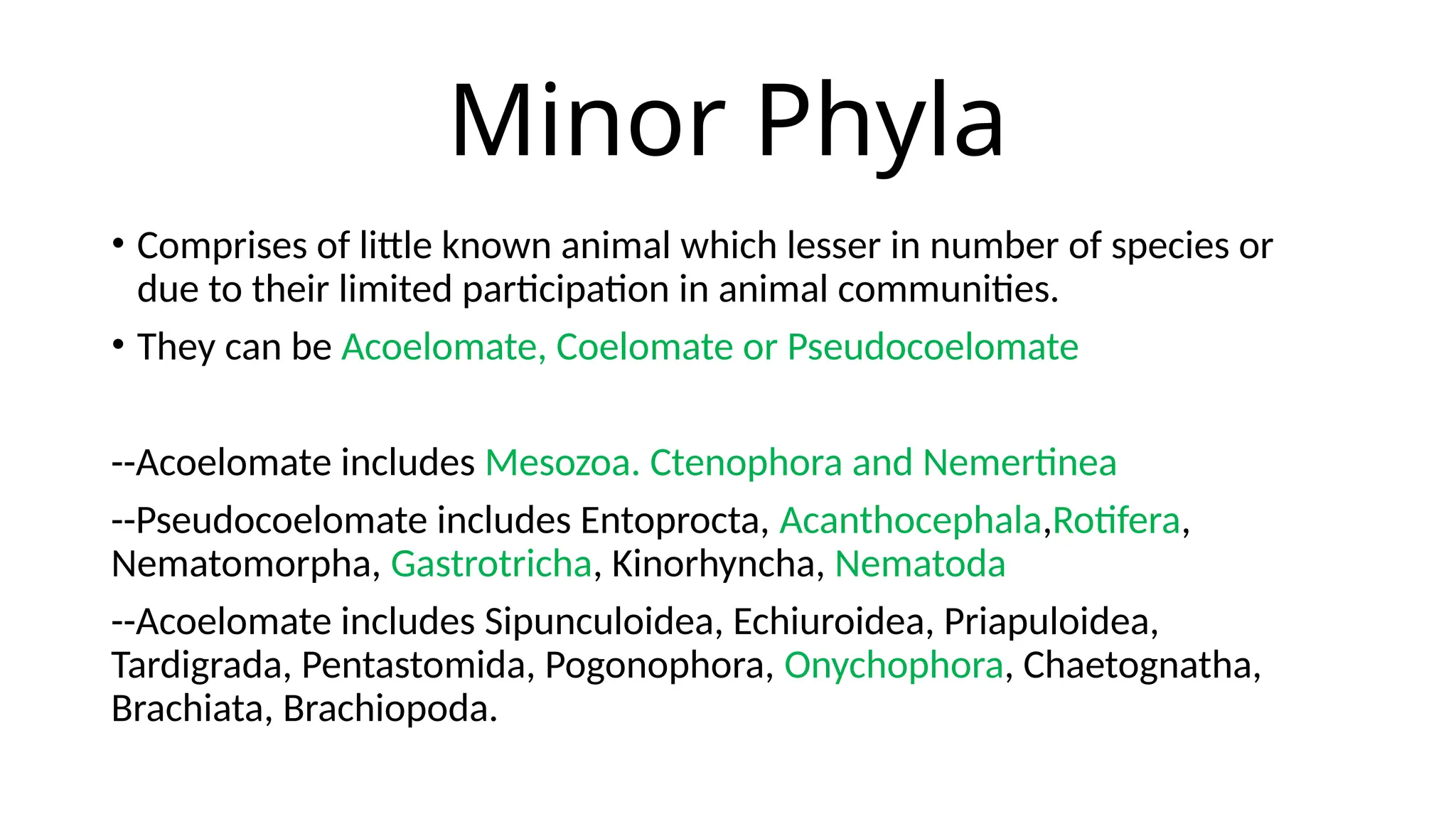 Brief introduction to Minor phyla animals.pptx