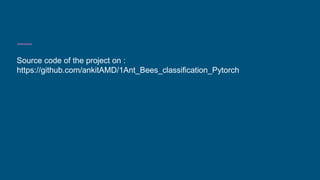 Transfer Leaning Using Pytorch synopsis Minor project pptx | PPT