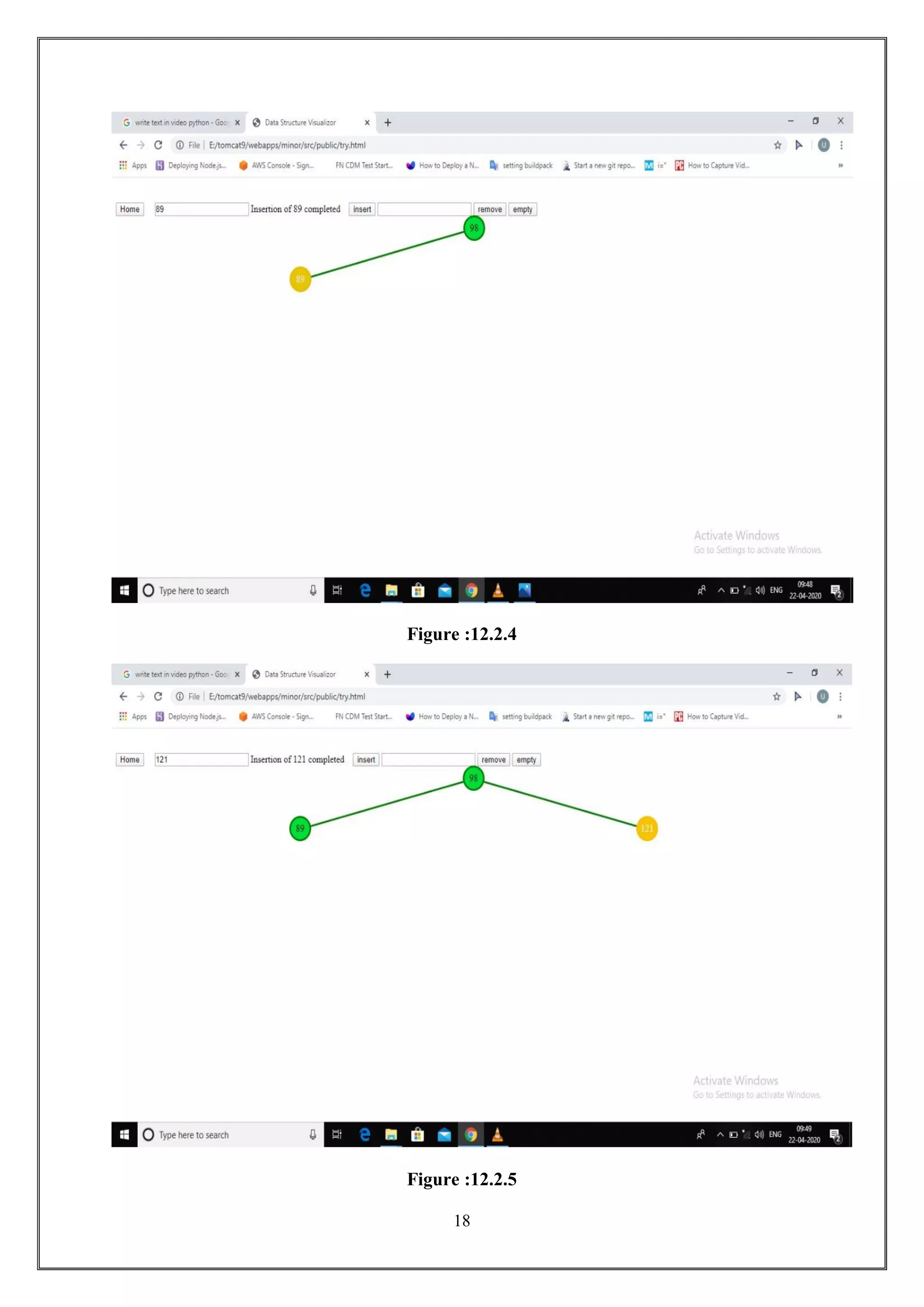 Minor Project Synopsis On Data Structure Visualizer Pdf