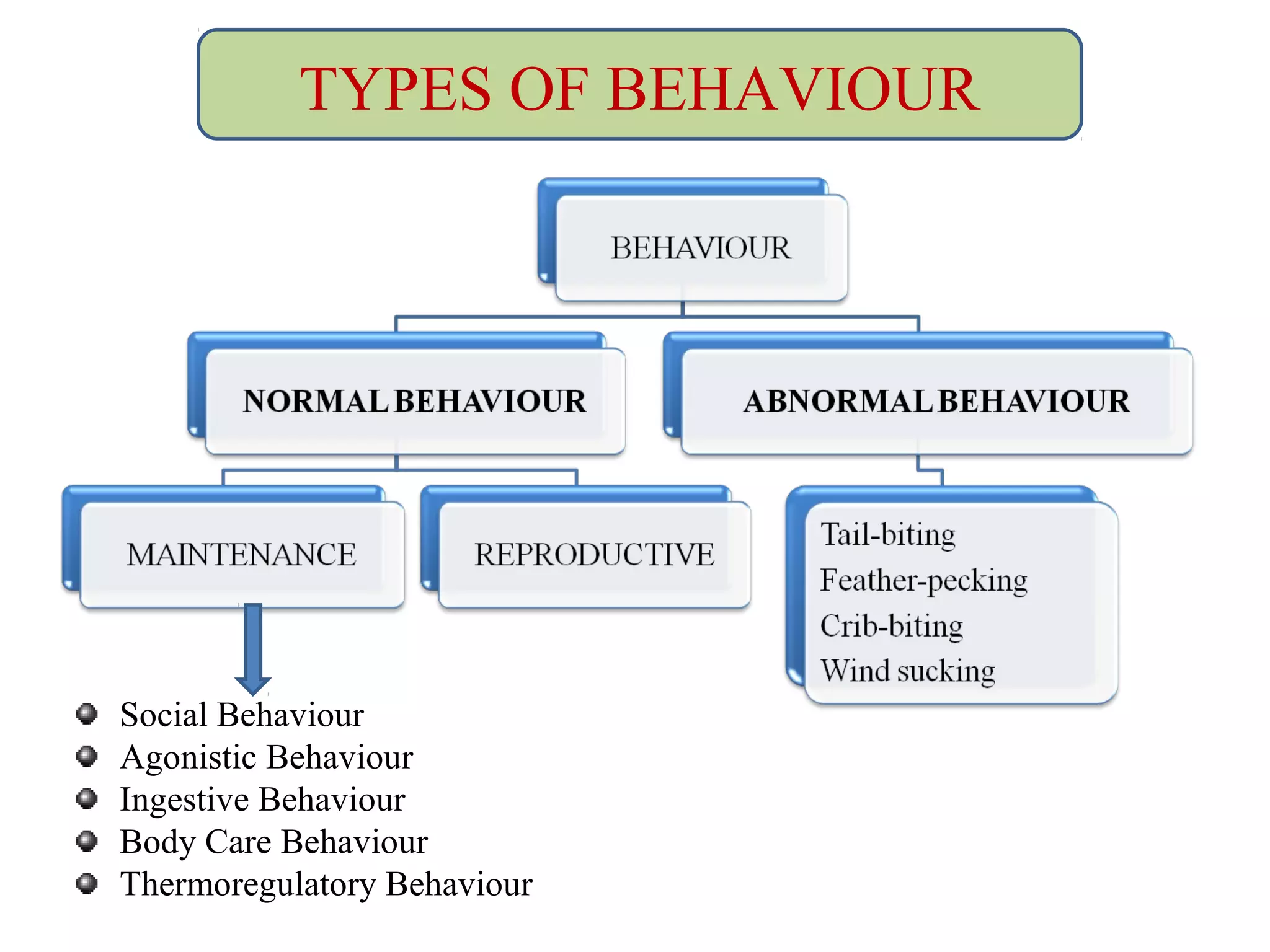 ANIMAL BEHAVIOUR AND WELFARE | PPT