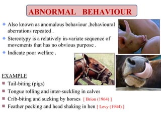 ANIMAL BEHAVIOUR AND WELFARE | PPT