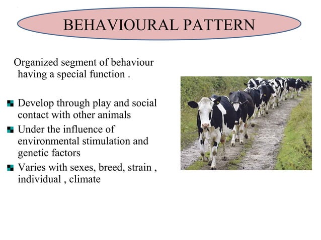 ANIMAL BEHAVIOUR AND WELFARE | PPT