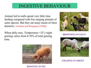 ANIMAL BEHAVIOUR AND WELFARE | PPT