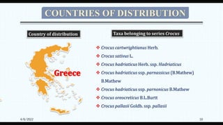 Minor spices saffron | PPTX | Gardening | Home & Garden