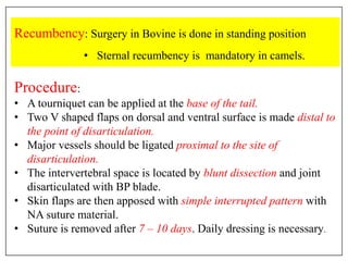 Minor surgical affections | PPT