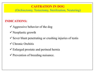 Minor surgical conti | PPT