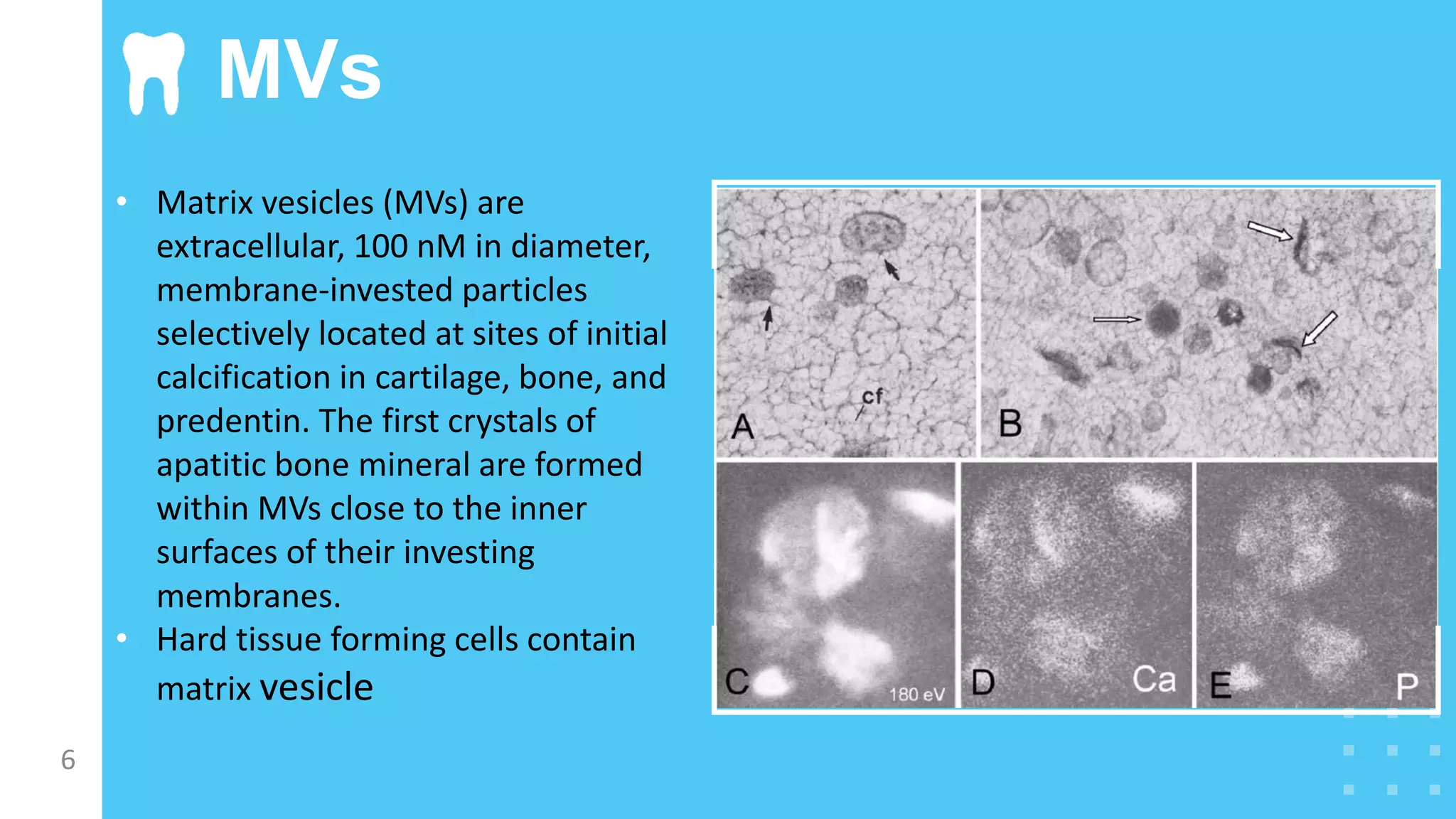 minralization of dental hard tissue.pptx