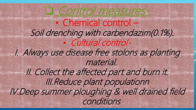 DISEASE OF MINT | PPTX | Gardening | Home & Garden