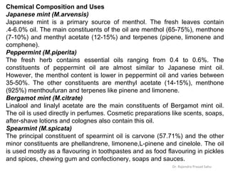Production technology of Mint | PDF