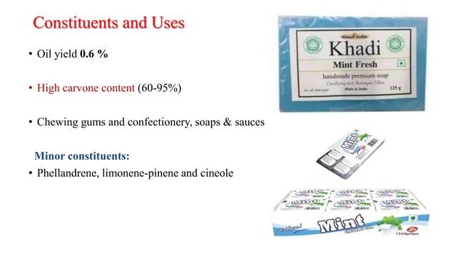 MINT production technology and cultural practices | PPTX