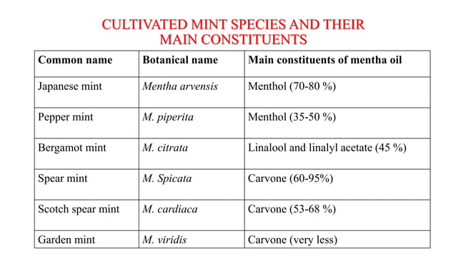MINT production technology and cultural practices | PPTX