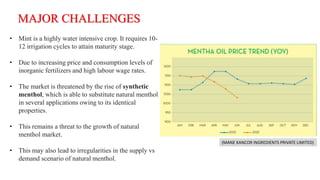 MINT production technology and cultural practices | PPT