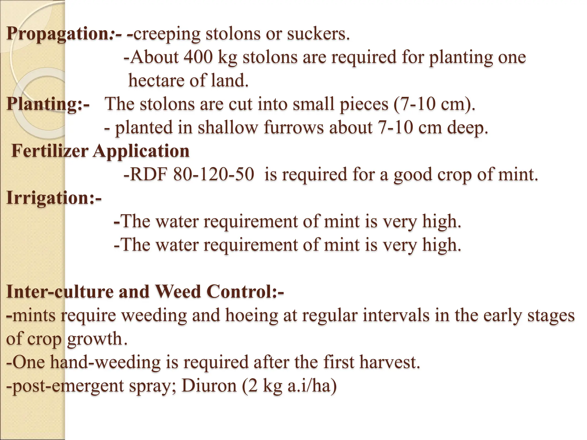 Mint.ppt Details of mint cultivation practices | PPT