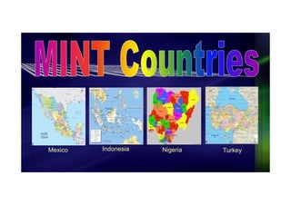 Mint Countries (Mexico, Indonesia, Nigeria and Turkey) | PDF