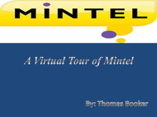 Mintel presentation | PPTX