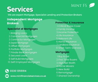 Mint financial Services | PPT