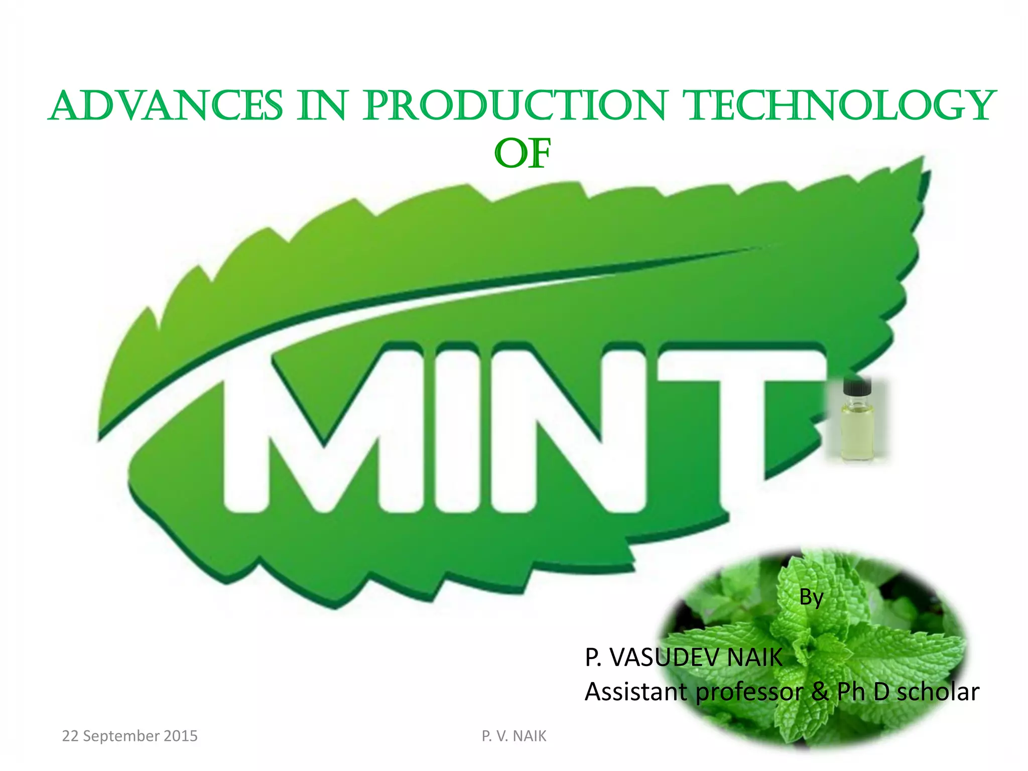 Mint ppt | PDF