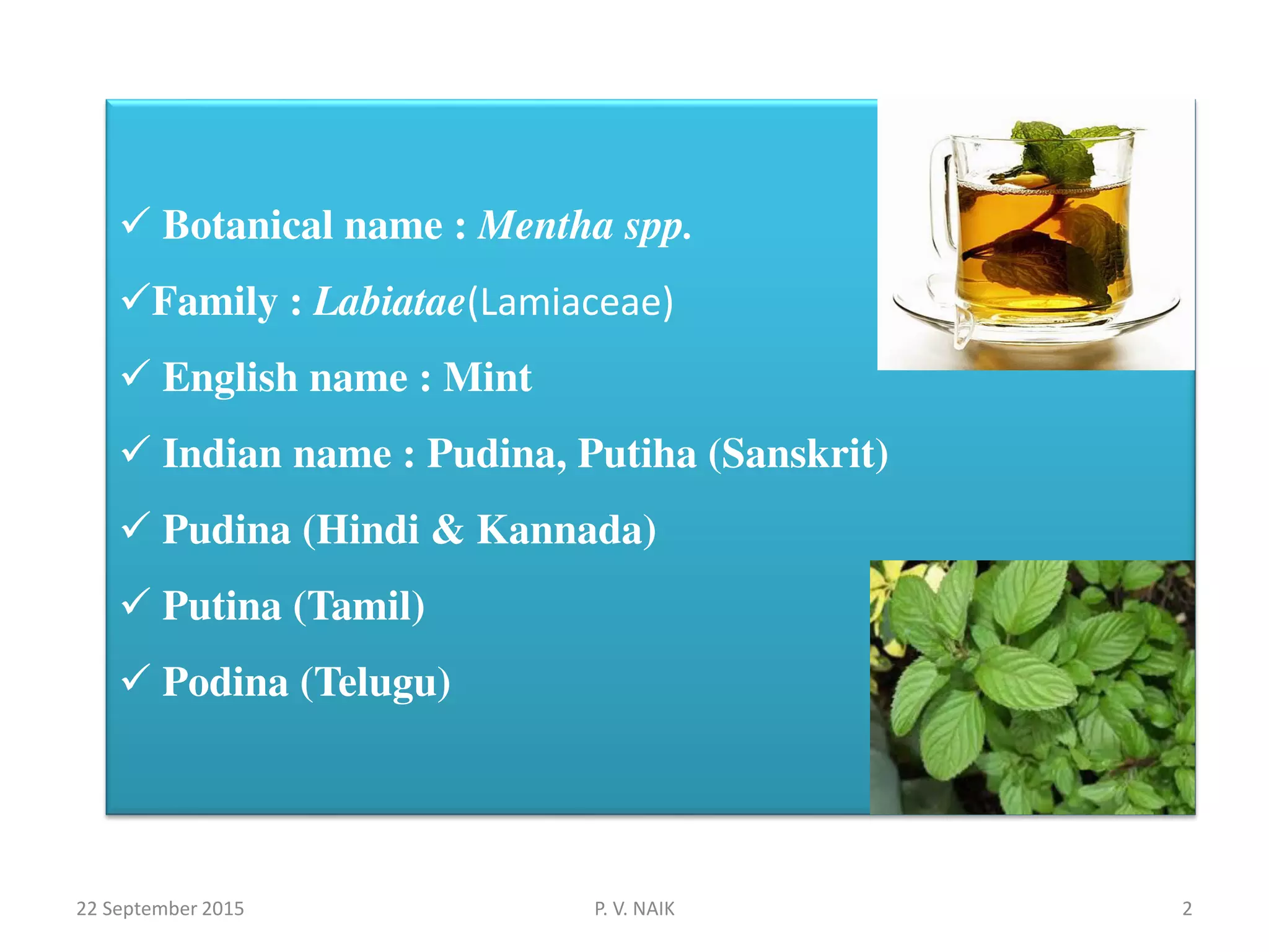 Mint ppt | PDF