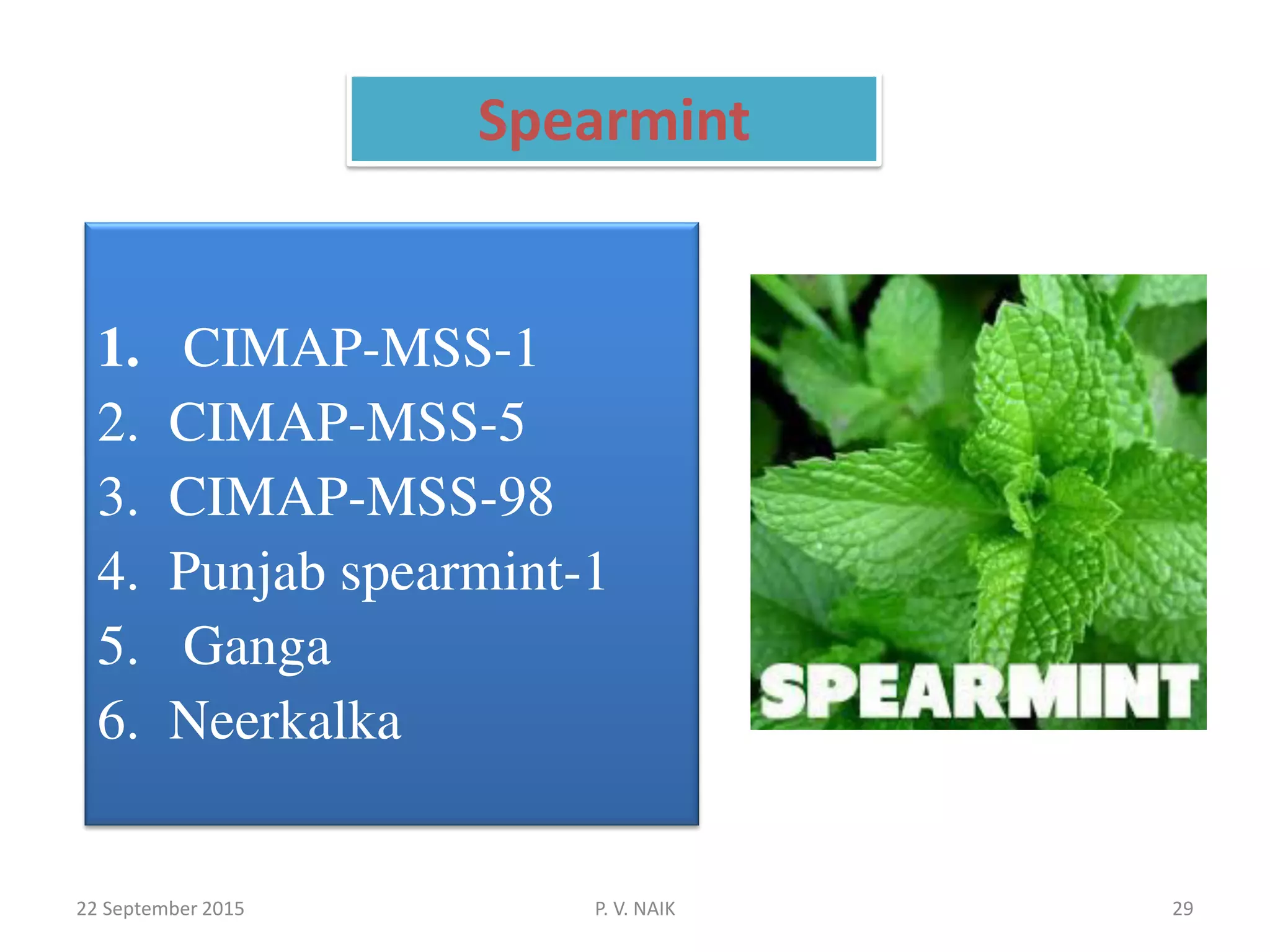 Mint ppt | PDF