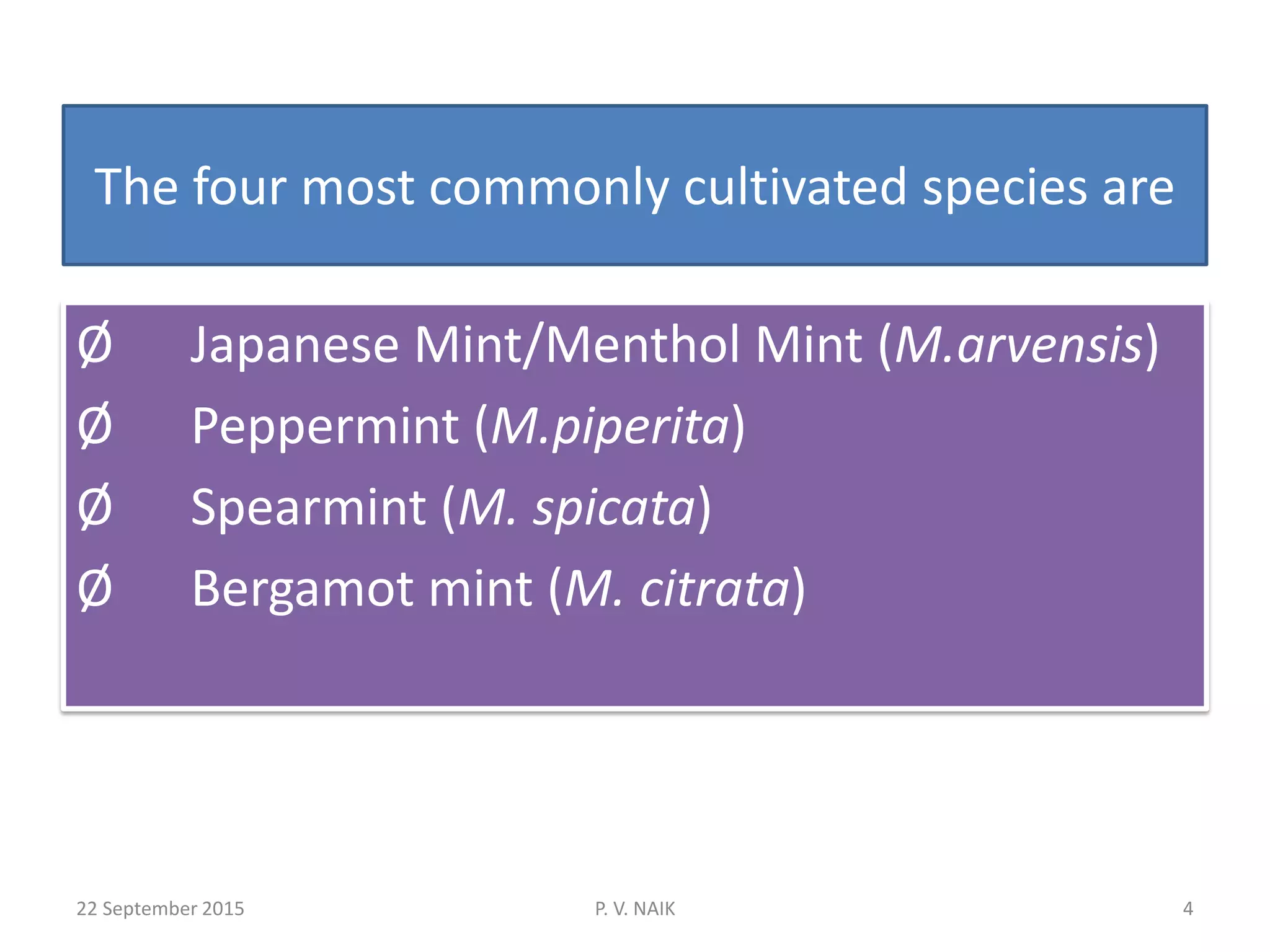 Mint ppt | PDF