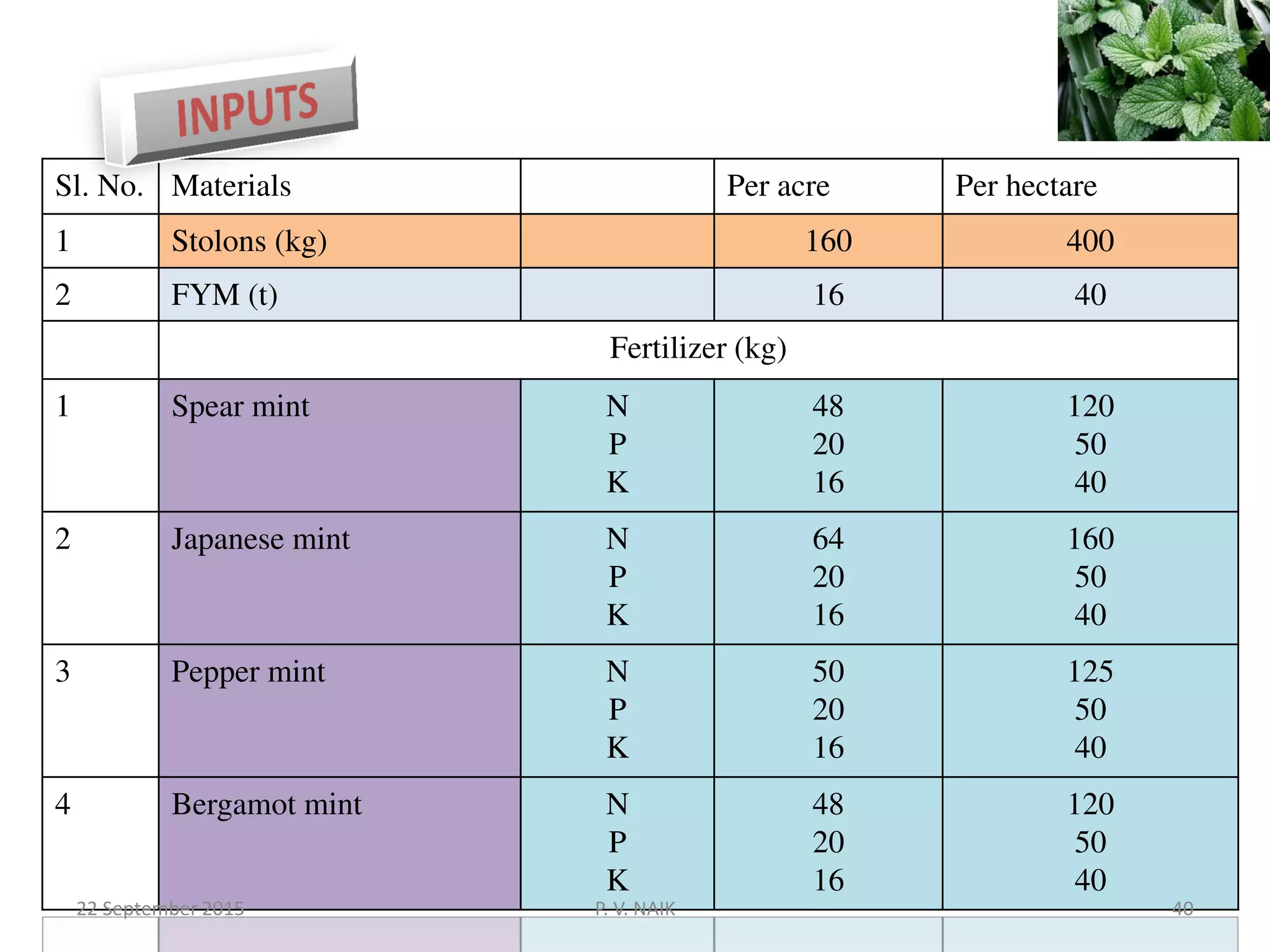Mint ppt | PDF | Commodities | Economy