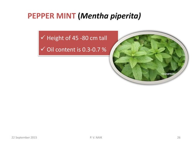 Mint ppt | PDF | Commodities | Economy