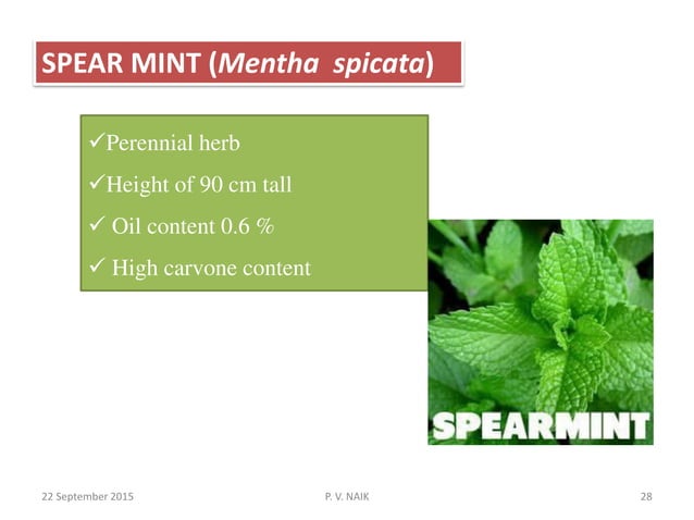 Mint ppt | PDF | Commodities | Economy