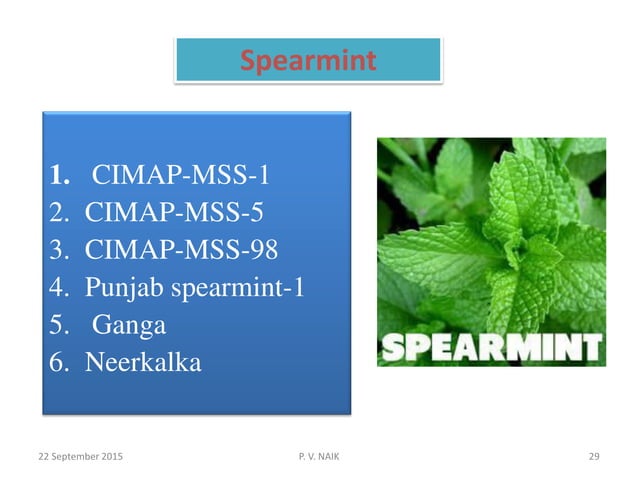 Mint ppt | PDF | Commodities | Economy