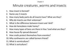 Minute Creatures evs chapter4 grade3.pptx