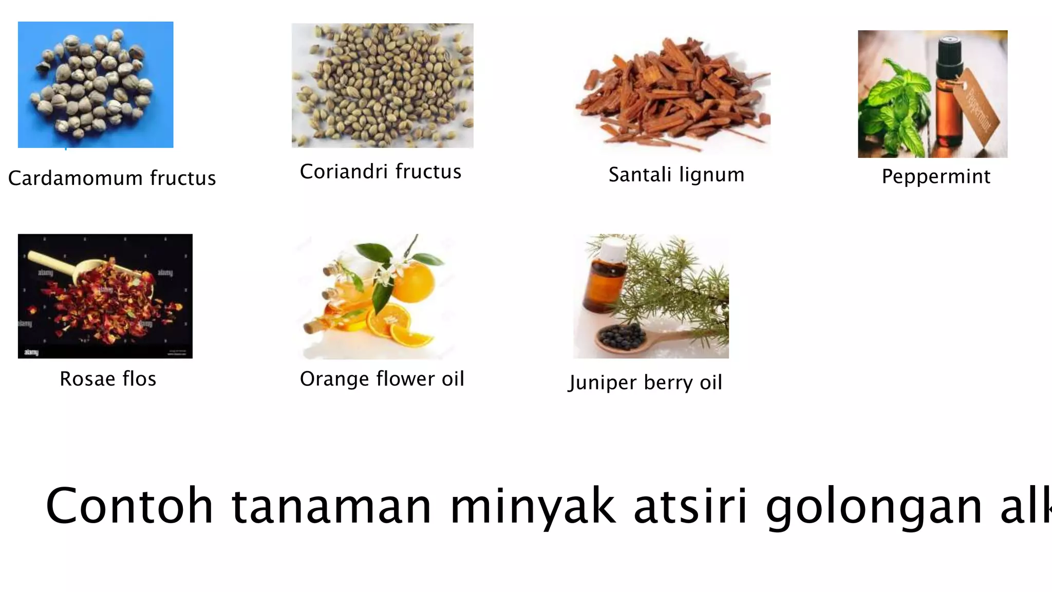 MINYAK ATSIRI.pptx