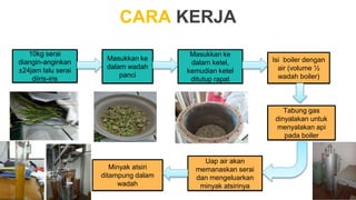 Cara Pembuatan Minyak atsiri | PPTX
