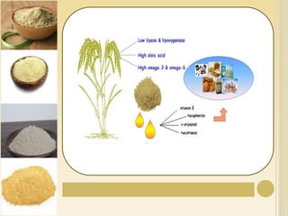 Minyak bekatul (ricebran oil) | PPT