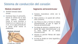 Miocardio | PPTX