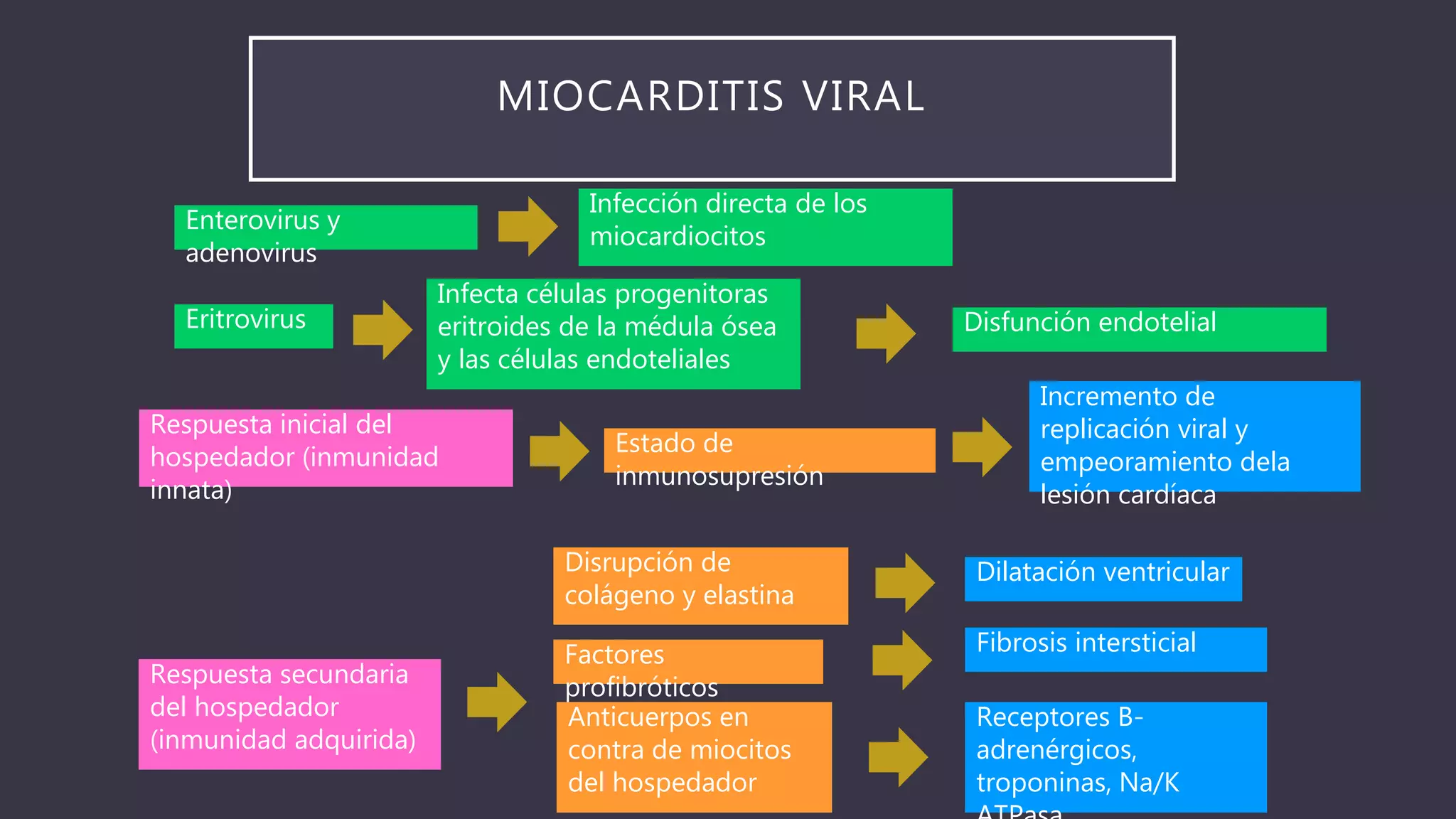 Miocarditis