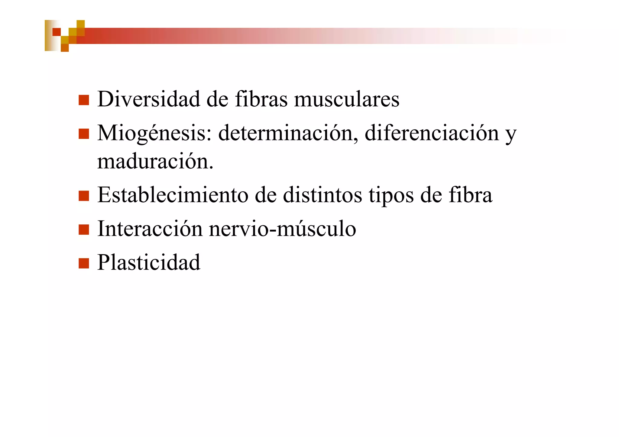 Miogenesis tipos de fibra 2010 | PPT