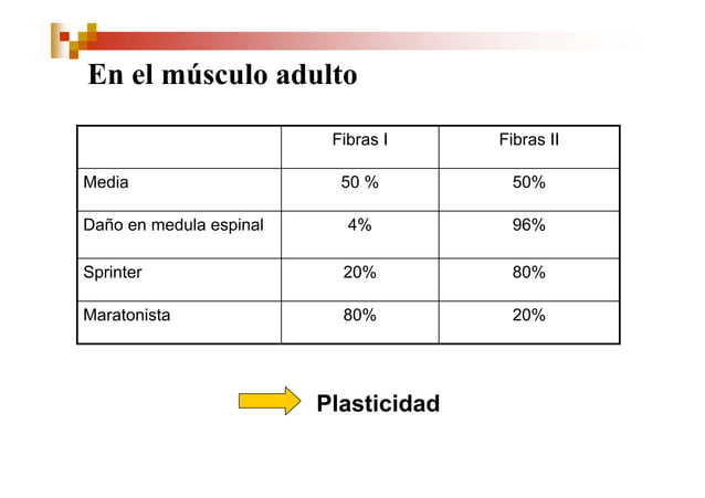 Miogenesis tipos de fibra 2010 | PPT