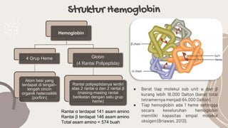MIOGLOBIN HEMOGLOBIN- KELOMPOK 2.pptx