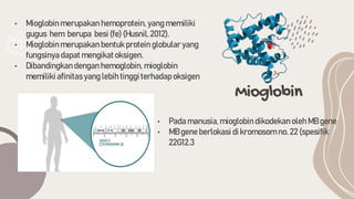 MIOGLOBIN HEMOGLOBIN- KELOMPOK 2.pptx